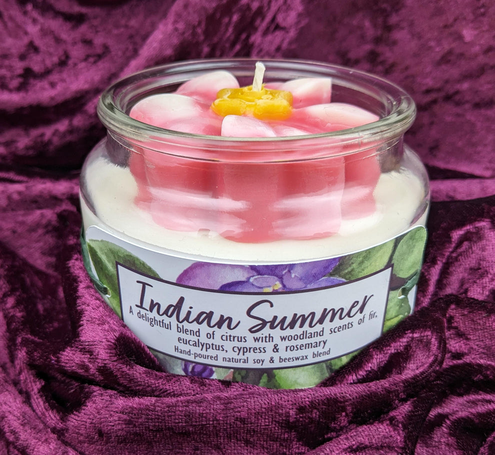 Indian Summer African Violet Candle, 10oz – Viola's Violets & Gifts